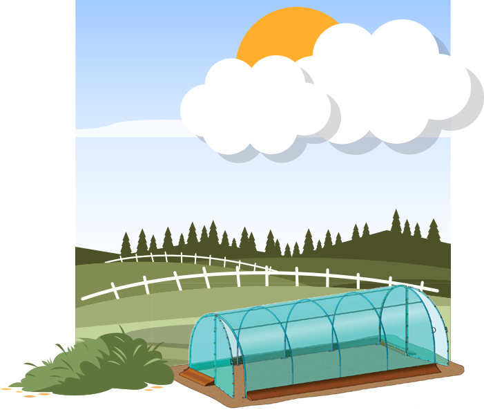 Kertifólia | Gravetti